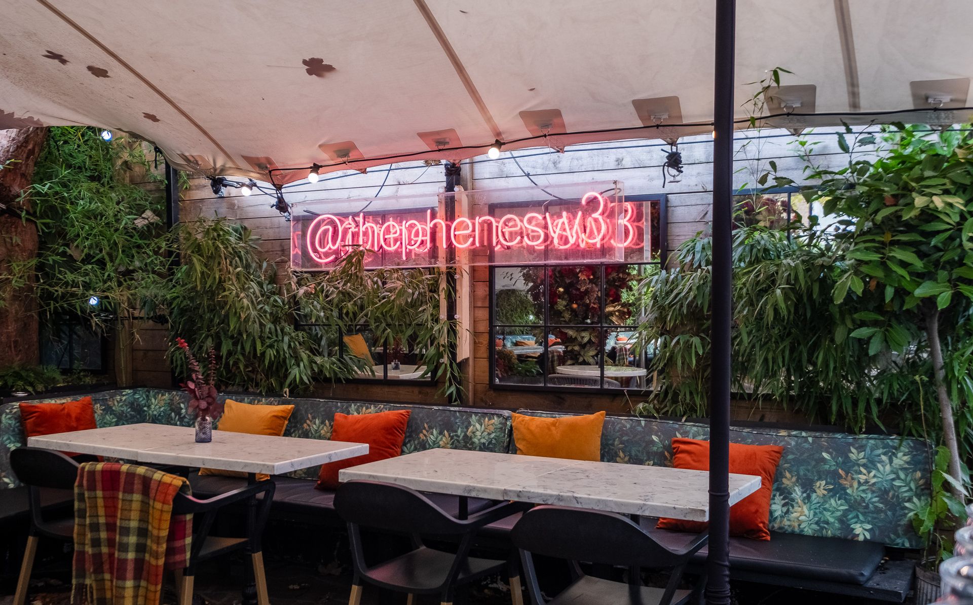 The Phene | Pub, Restaurant, and Private Dining in Chelsea